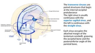 Venous System of Brain lecture by professor Dr. Sukriti Das 2023.pptx