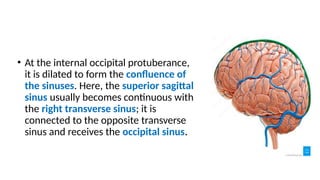 Venous System of Brain lecture by professor Dr. Sukriti Das 2023.pptx