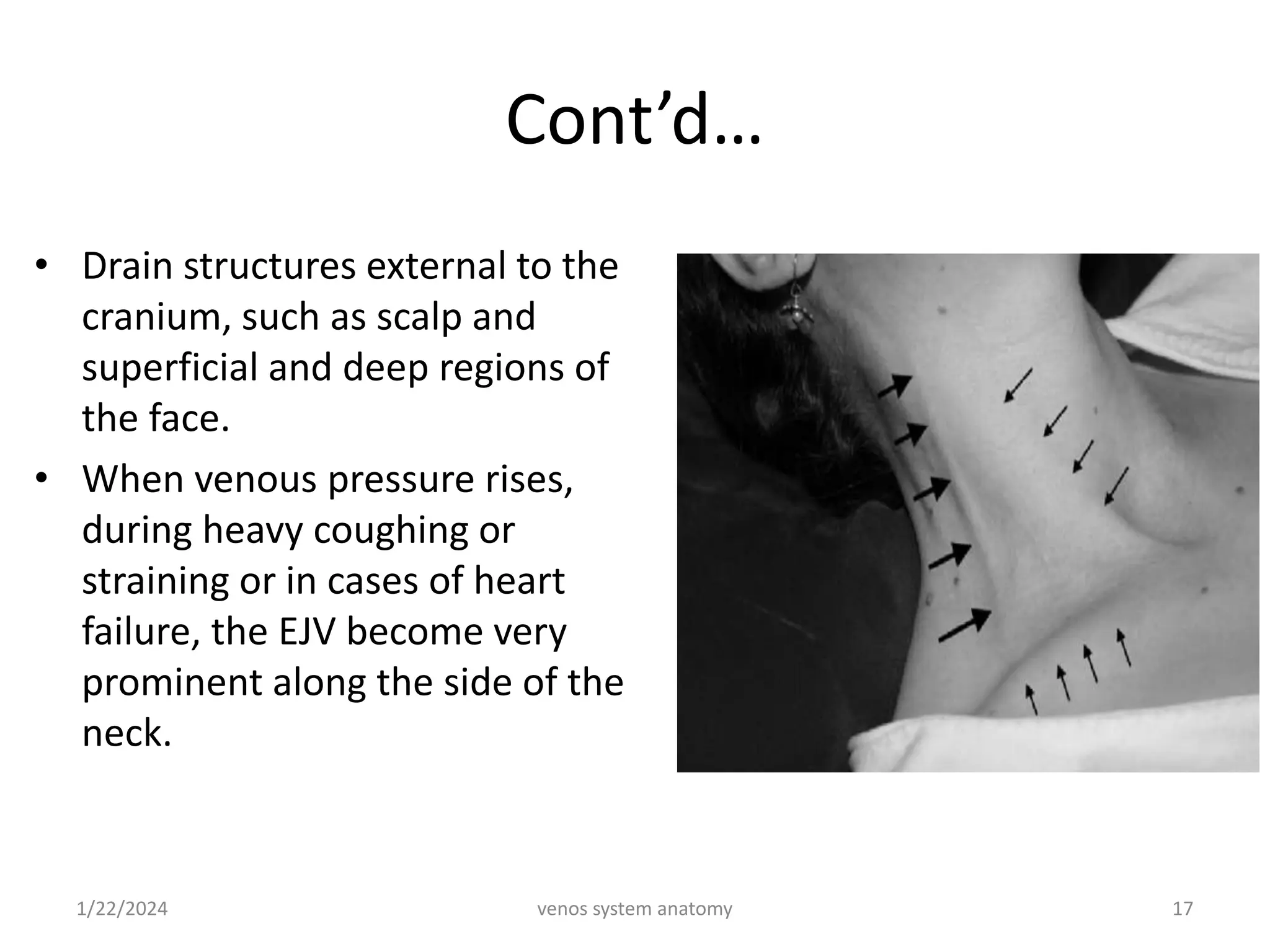 Venous system anatomy perfusionist lect.pptx