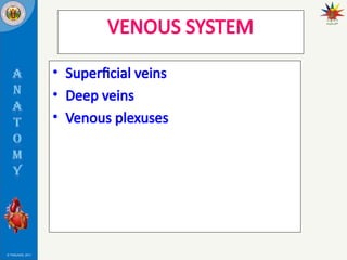 venous system ppt of veterinary animals. | PPT