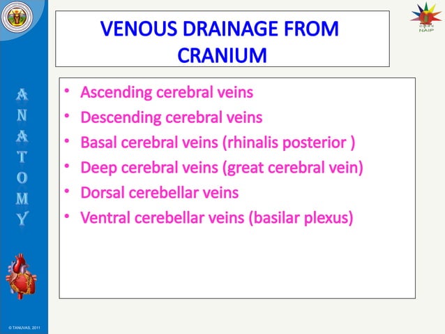 venous system ppt of veterinary animals. | PPT