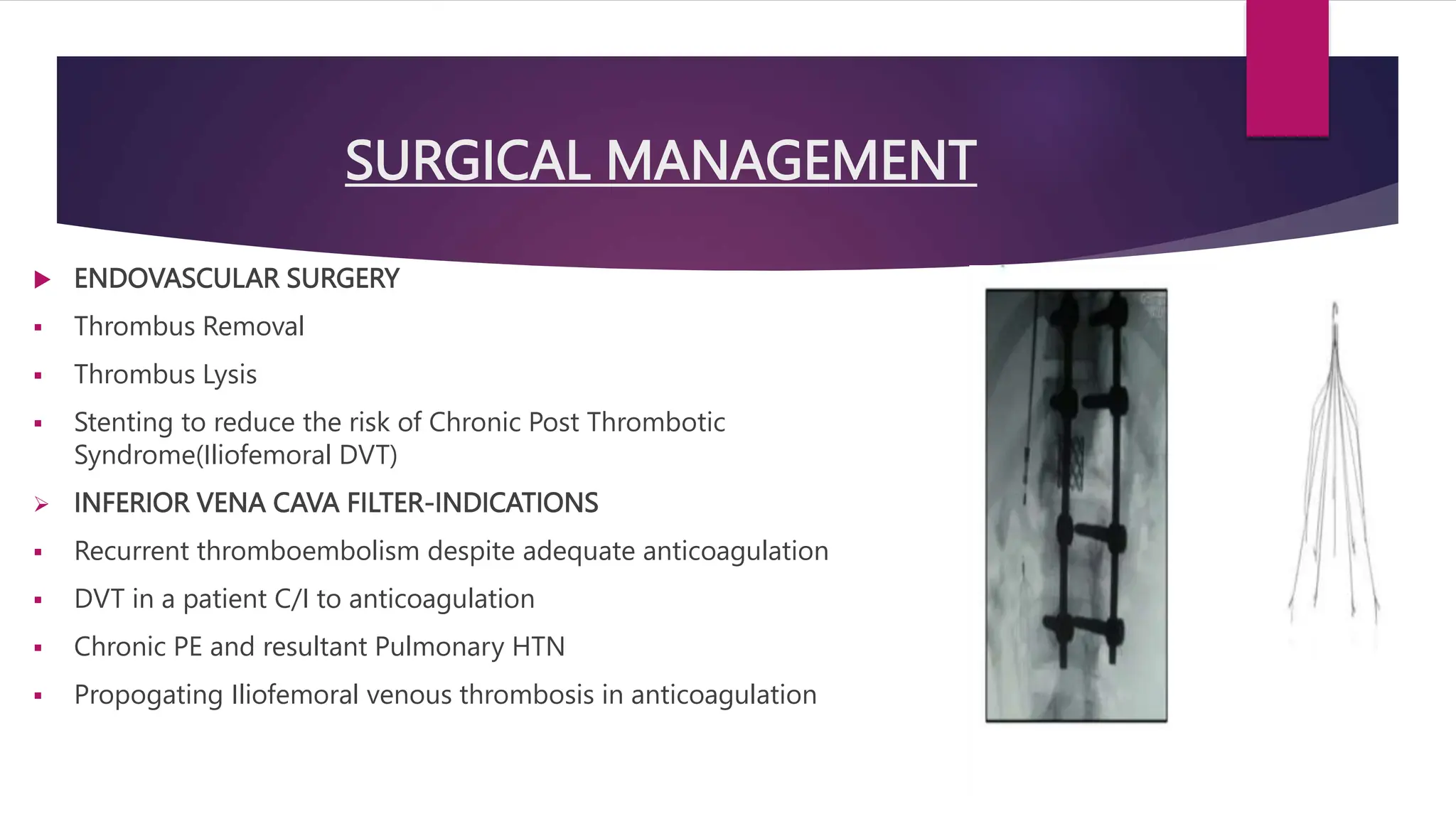 VENOUS THROMBOEMBOLISM (VTE) PRESENTATION.pptx