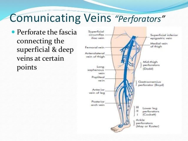 Venous ulceers