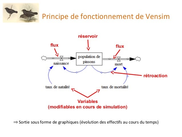 Vensim presentation modelisation-pinsons