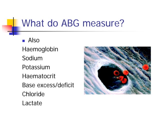 Vent abg arterial_bloodgases | PDF