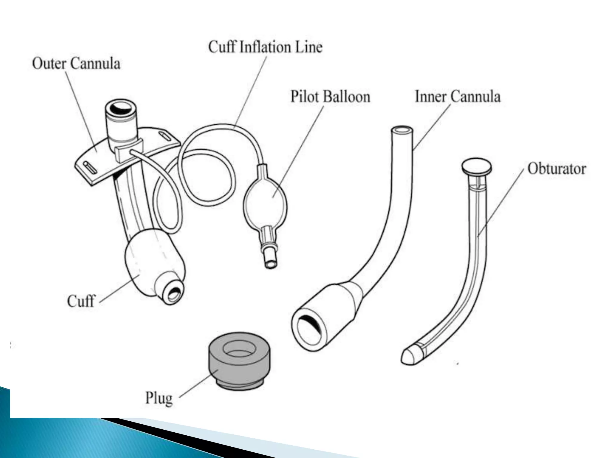 Vent and Tracheostomy | PPTX