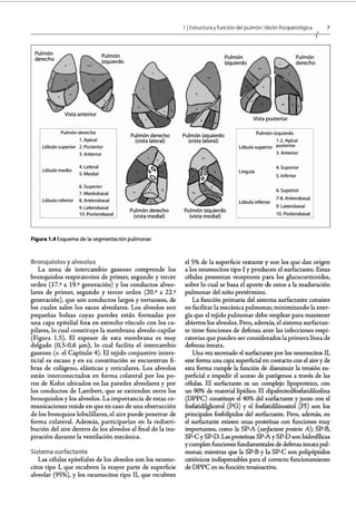 Ventilación Mecánica Fisiopatología Respiratoria Aplicad.pdf