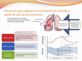 Ventilación pulmonar | PPTX