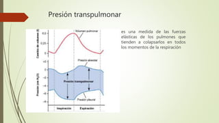 Ventilación pulmonar | PPTX