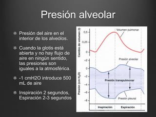 Ventilación pulmonar | PPTX