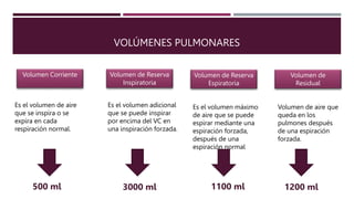 ventilación pulmonar. Sistema respiratorio | PPTX