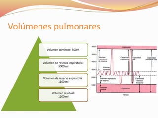 FISIOLOGIA II - Ventilacion Pulmonar | PPTX