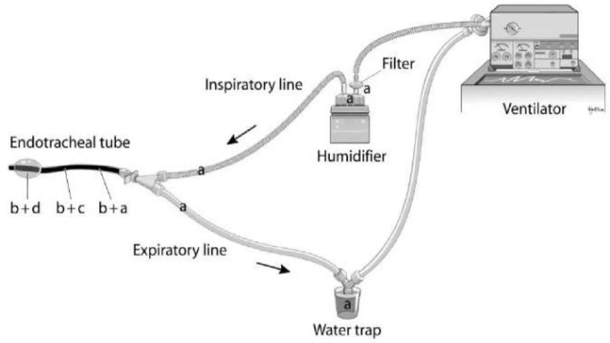 Ventilasi Mekanik (Mechanical Ventilator) Eri Yanuar | PDF