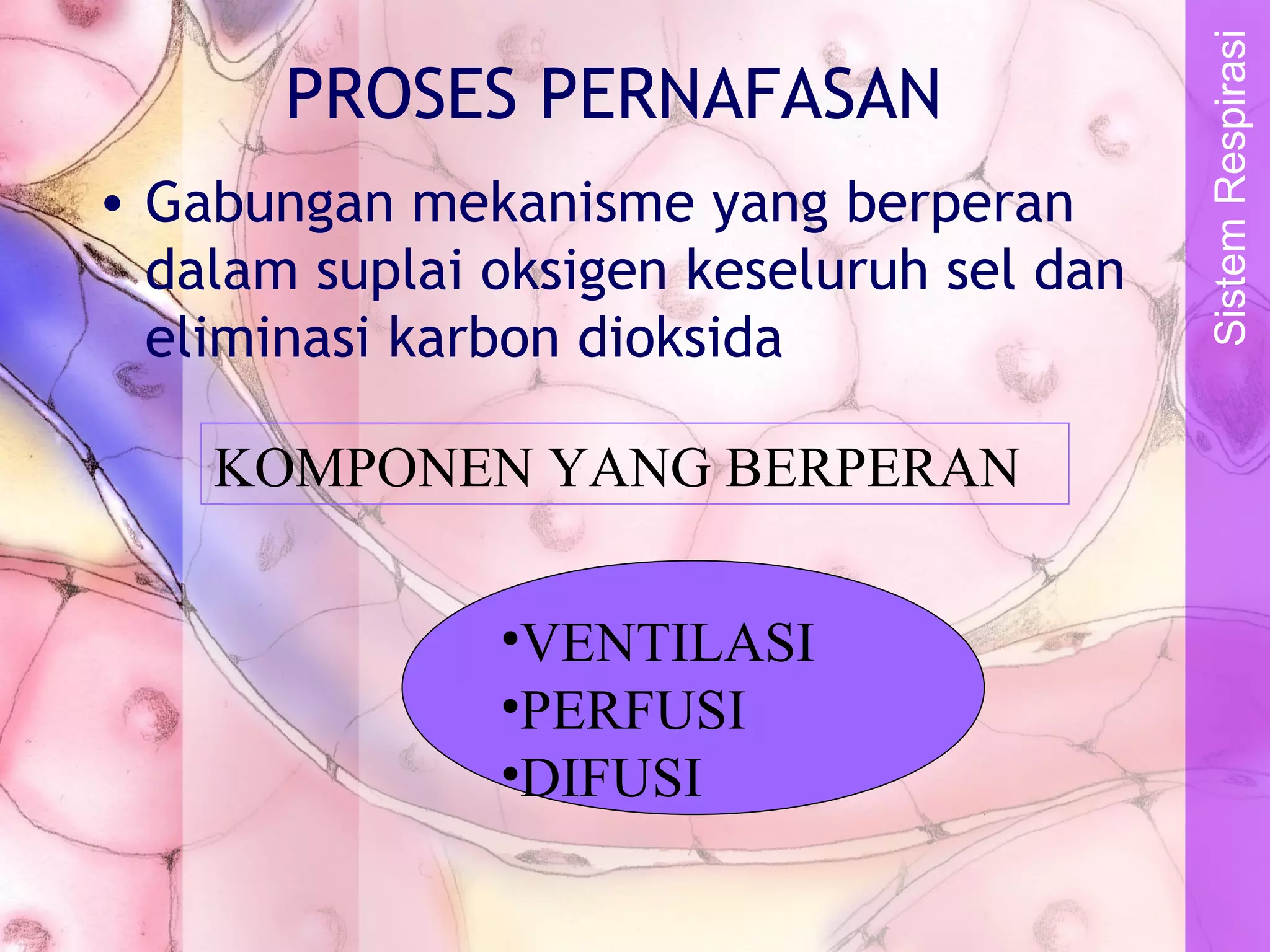 Ventilasi, perfusi & difusi ok | PPT