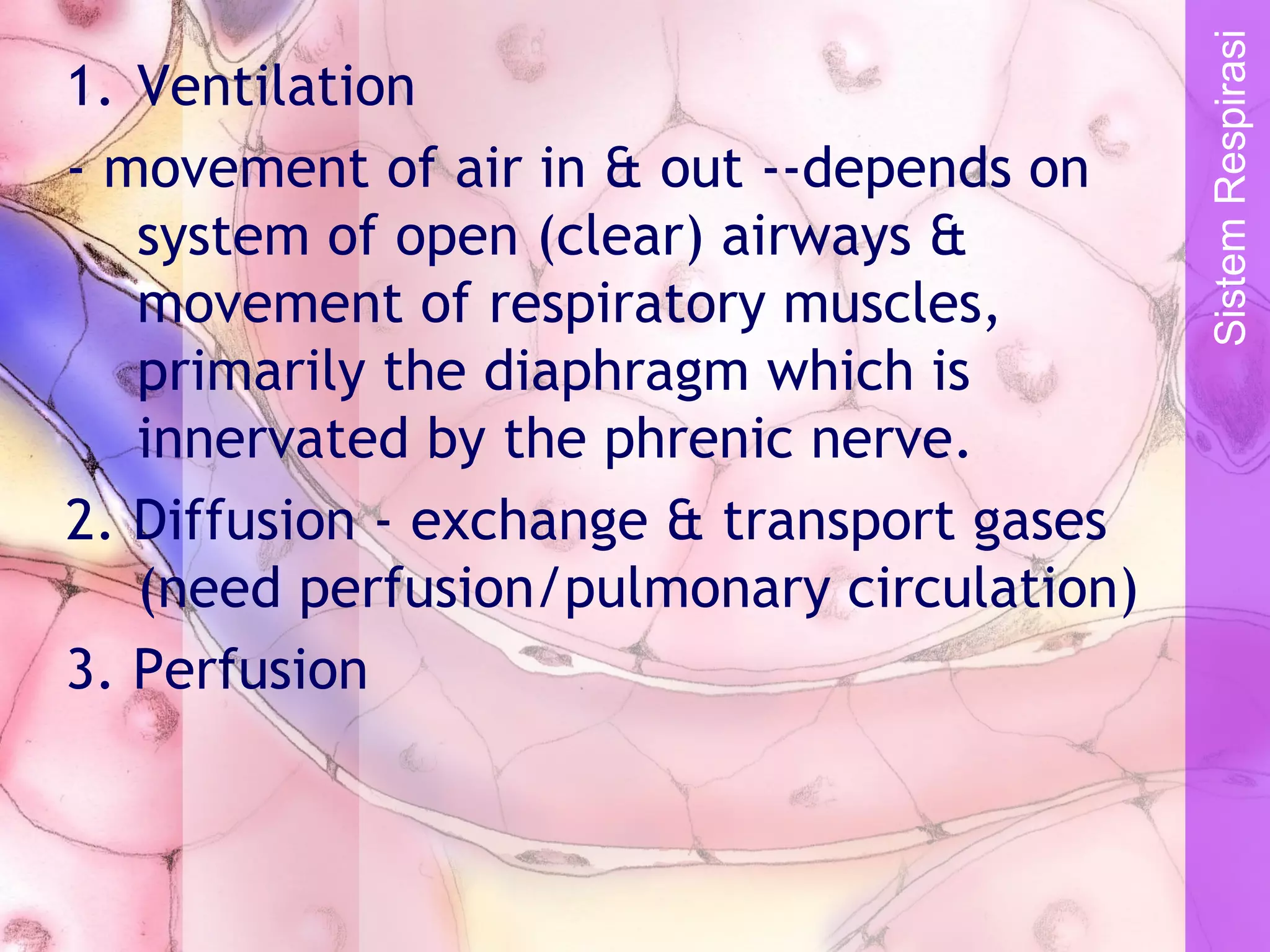Ventilasi, perfusi & difusi ok | PPT