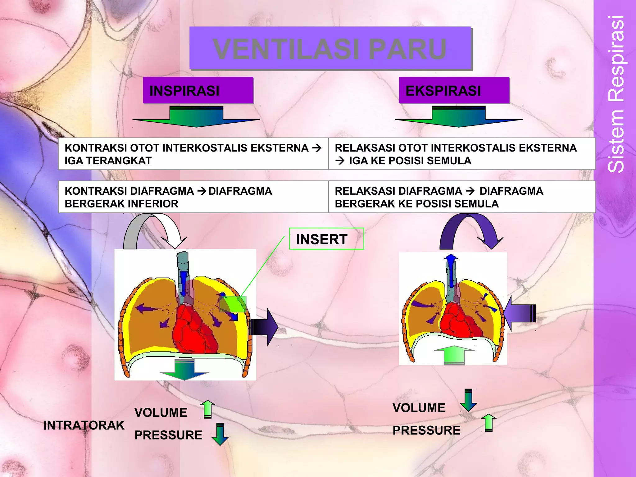Ventilasi, perfusi & difusi ok | PPT