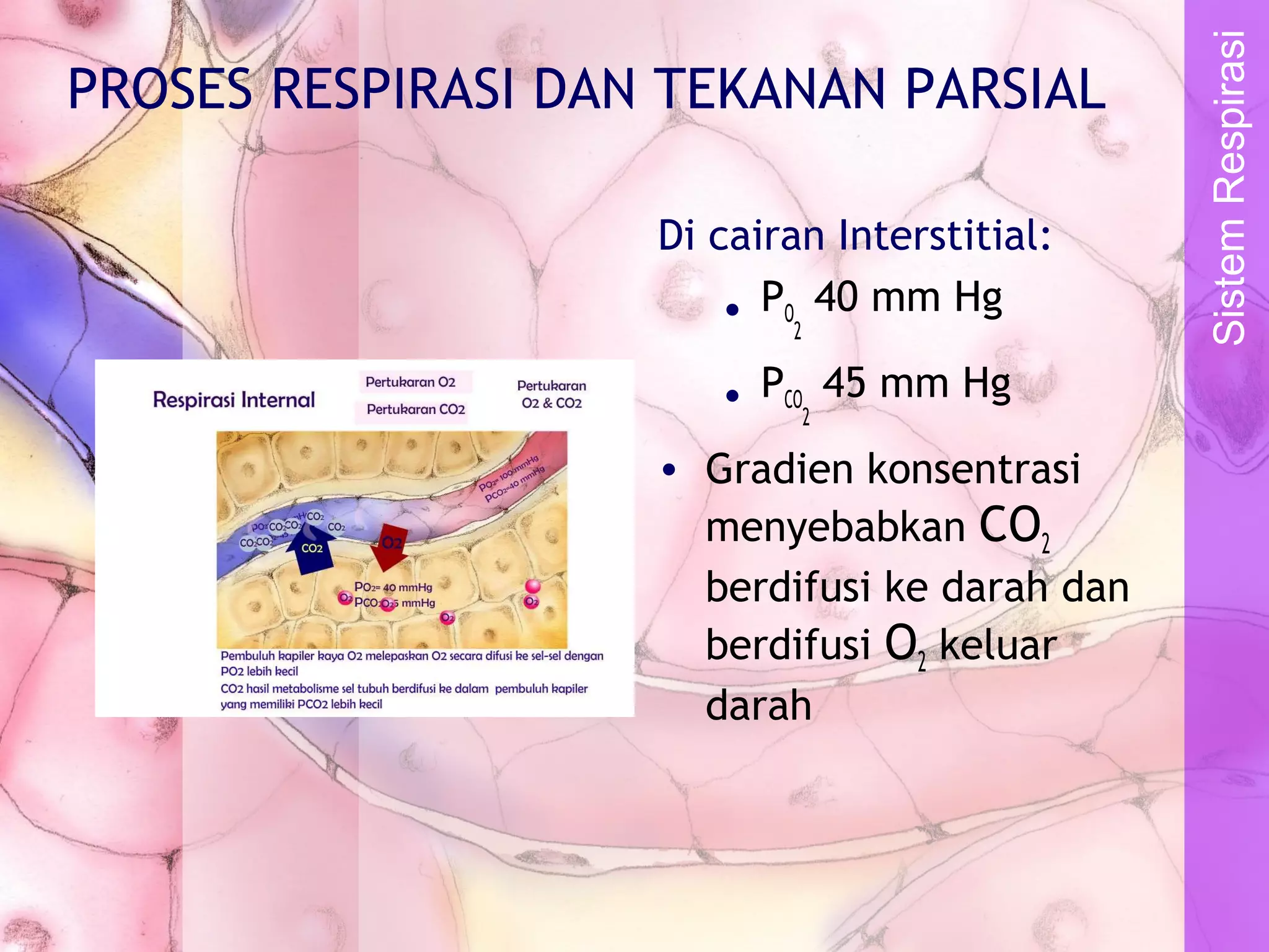 Ventilasi, perfusi & difusi ok | PPT