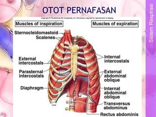 Ventilasi, perfusi & difusi ok | PPT