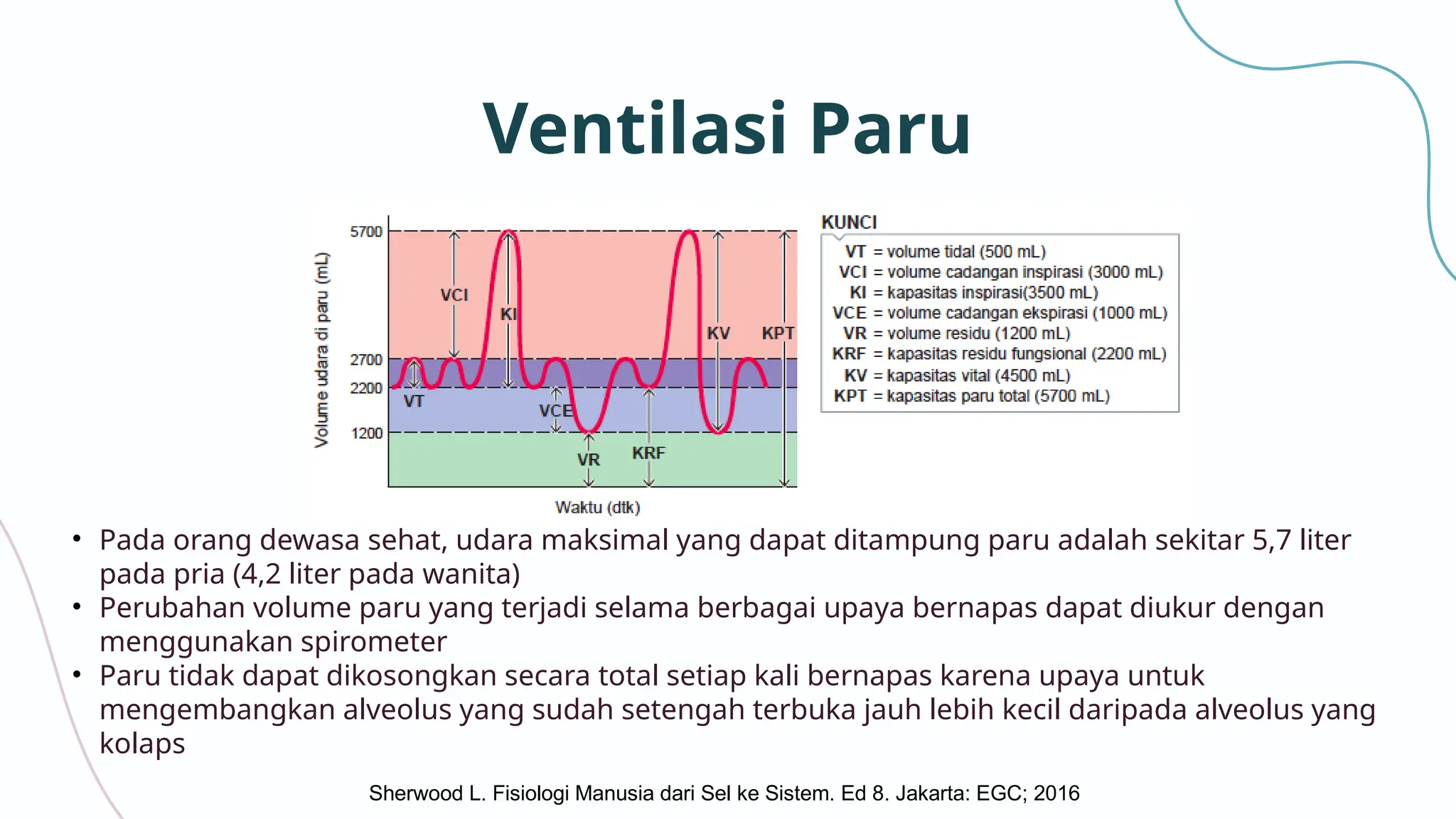 Ventilasi vs Perfusi & Sistem Pertahanan Paru.pptx