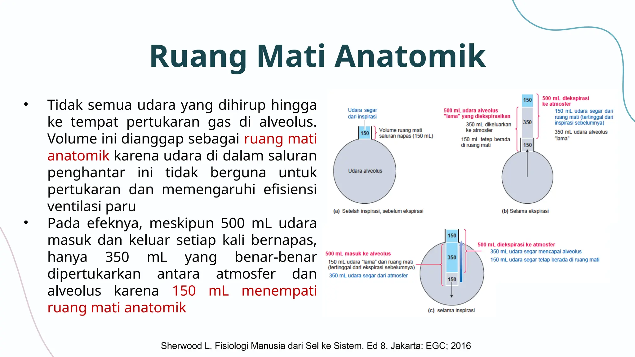 Ventilasi vs Perfusi & Sistem Pertahanan Paru.pptx