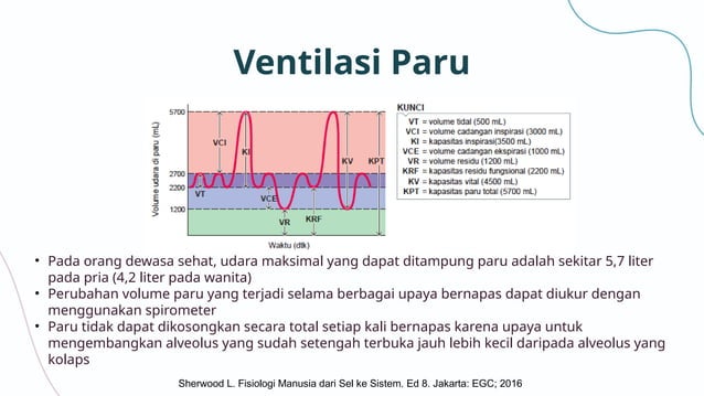 Ventilasi vs Perfusi & Sistem Pertahanan Paru.pptx