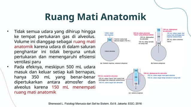 Ventilasi vs Perfusi & Sistem Pertahanan Paru.pptx