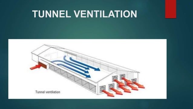 Ventilatiion systems in environmentallycontrolled poultry houses | PPTX ...