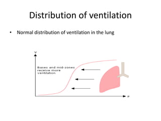 Ventilatin | PPTX