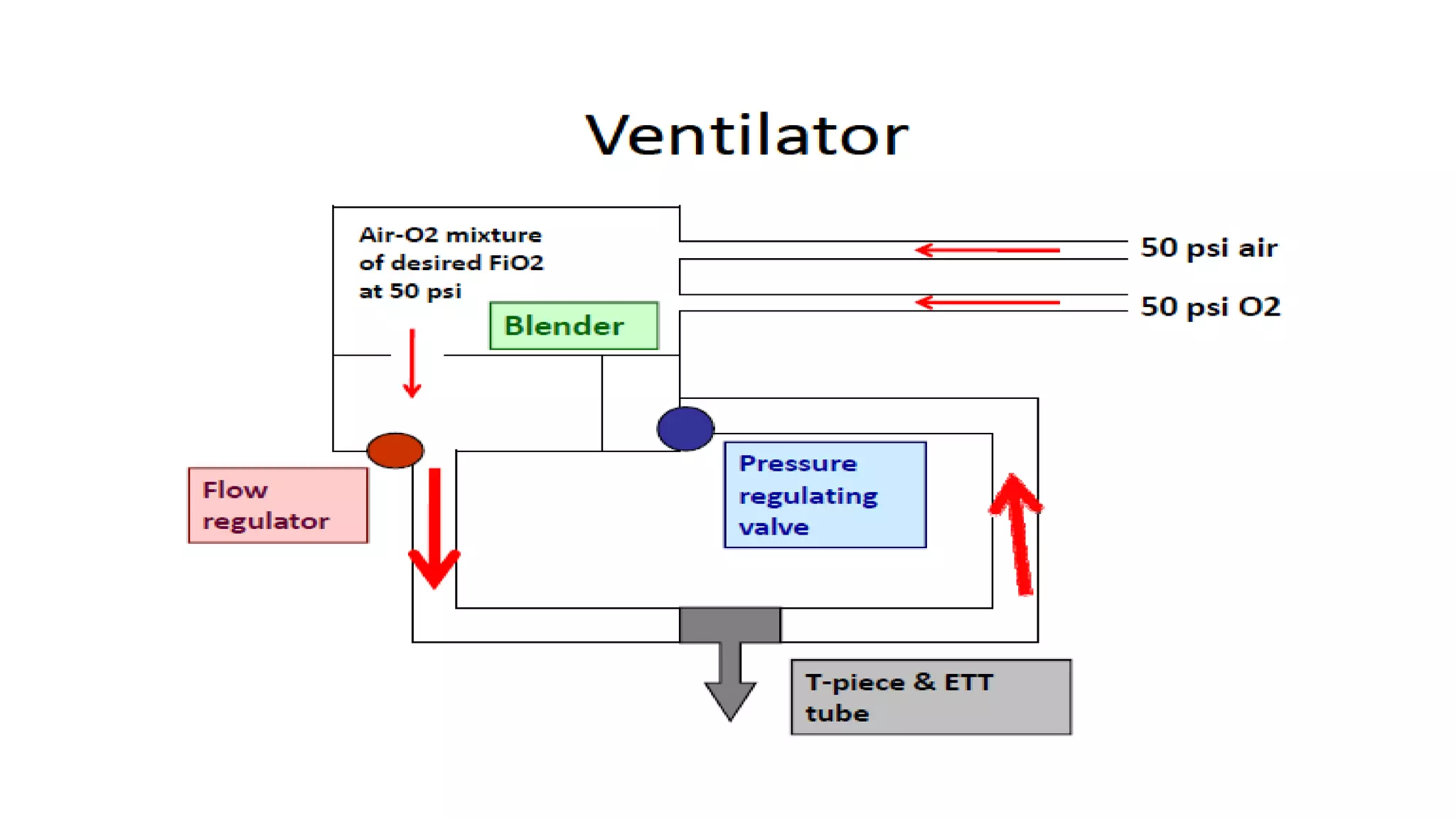 Ventilation basics in neonate | PPTX | Lung and Respiratory Health ...