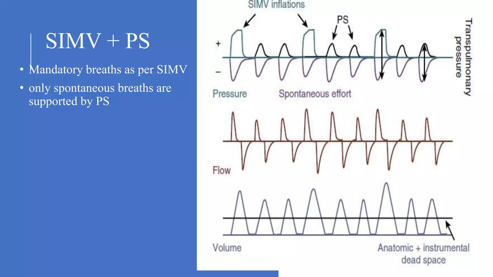 Ventilation basics in neonate | PPTX | Lung and Respiratory Health ...