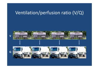 Pneumology - Ventilation perfusion-ratio-and-clinical-importance | PPT
