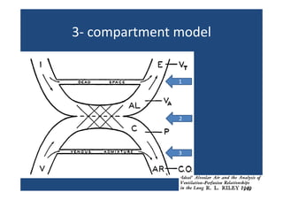 Pneumology - Ventilation perfusion-ratio-and-clinical-importance | PPT