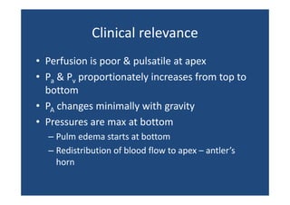 Pneumology - Ventilation perfusion-ratio-and-clinical-importance | PPT