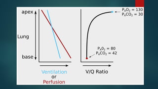 Ventilation-Perfusion Ratio and its .pptx