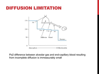 Ventilation perfusion relationships | PPTX