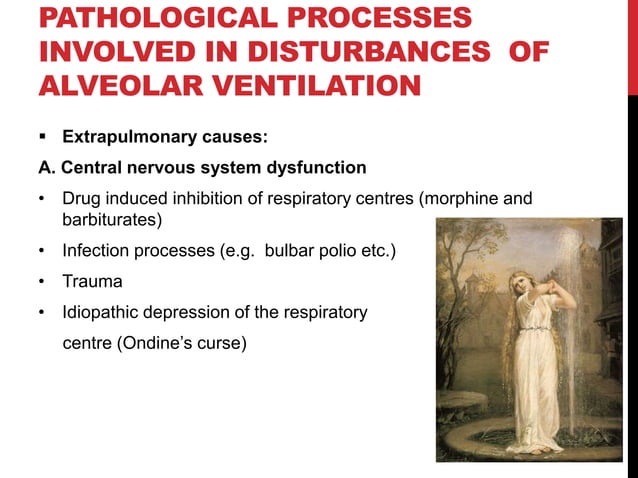 Ventilation perfusion relationships | PPTX