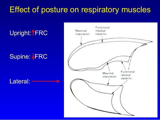 Pneumology - Ventilation physiology-and-work-of-breathing
