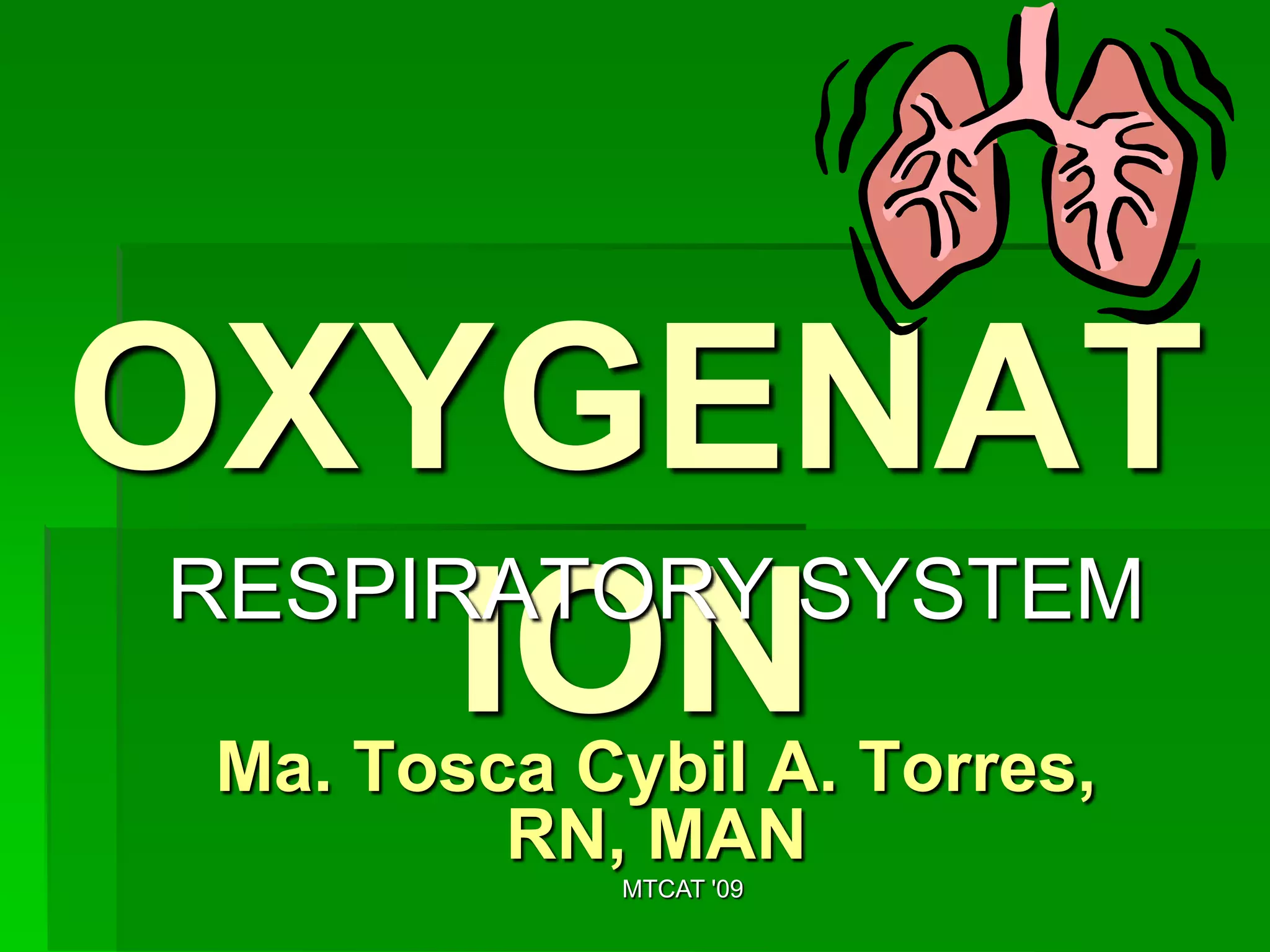 Respiratory System: Anatomy, Physiology and Gas Exchange | PPT
