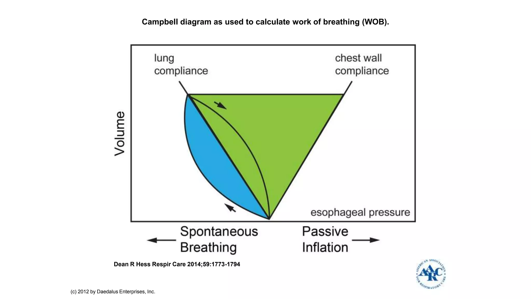 Ventilation 7 patient-ventilator dyssynchrony | PPTX