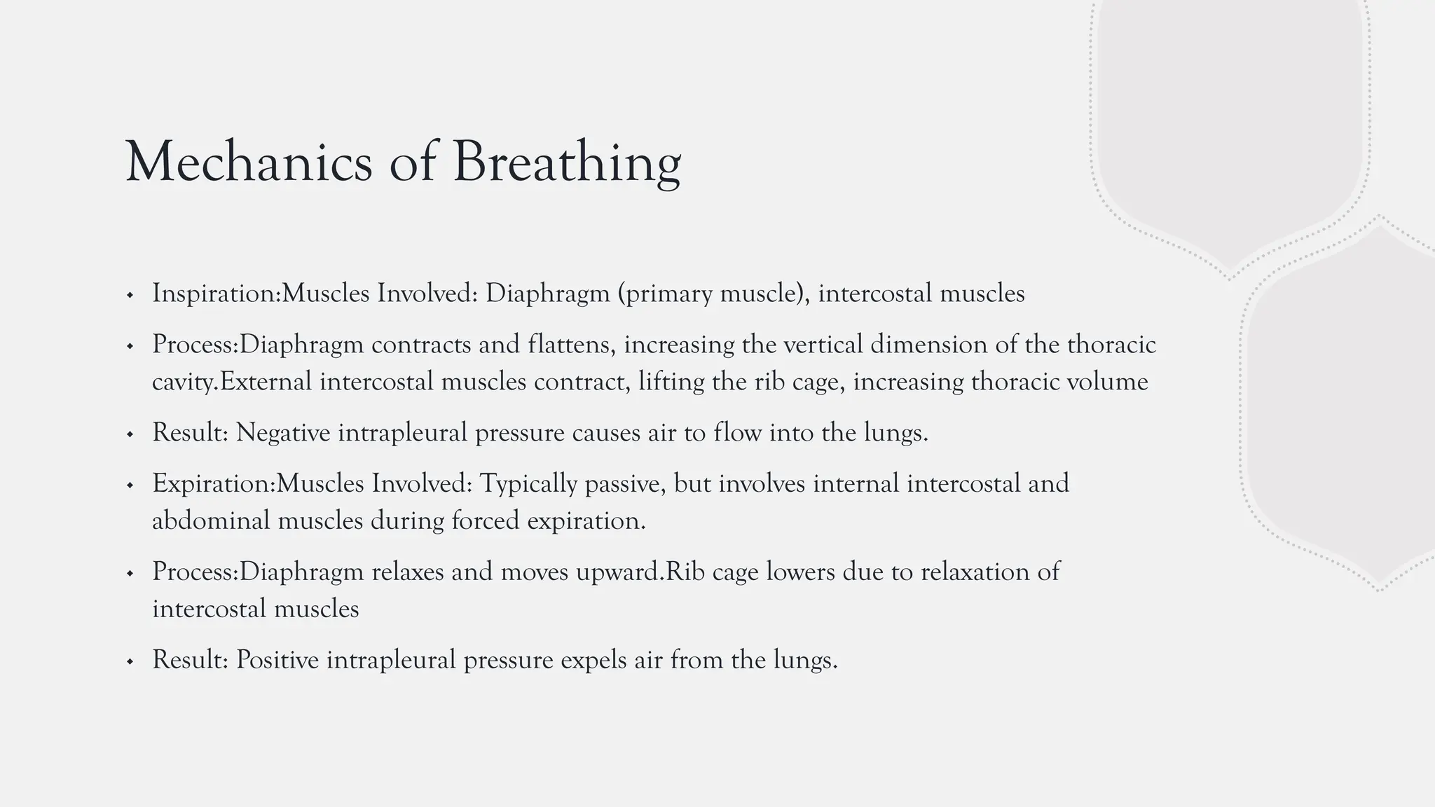 Ventilation and Alveolar Gas Equation.pptx