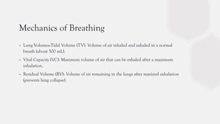 Ventilation and Alveolar Gas Equation.pptx