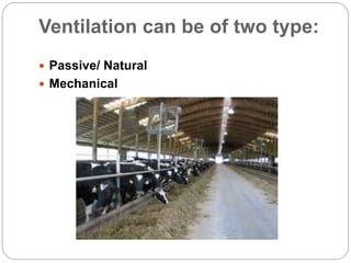 Ventilation and cooling systems for animal housing | PPTX