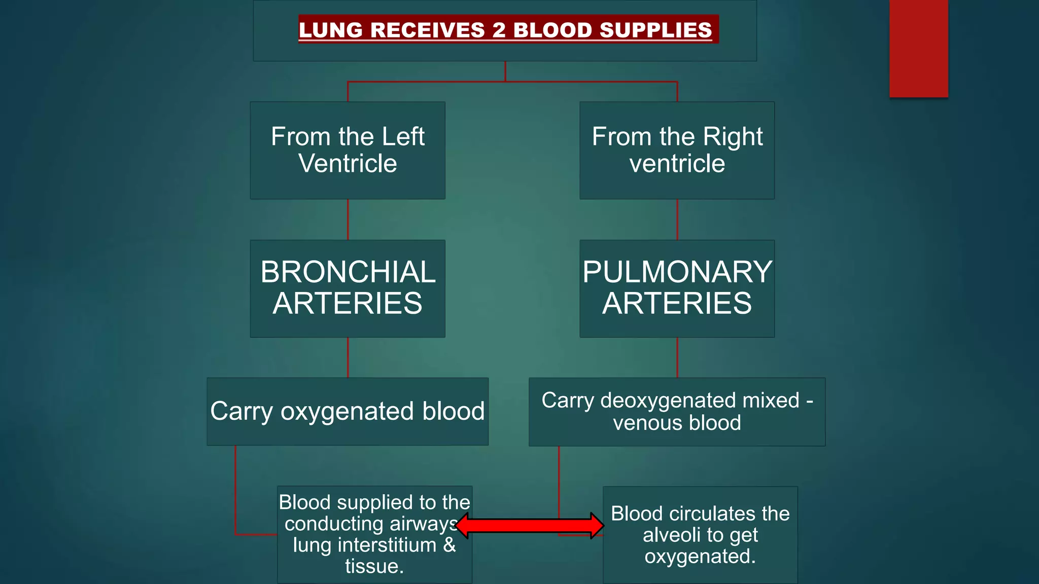 Ventilation and perfusion | PPTX