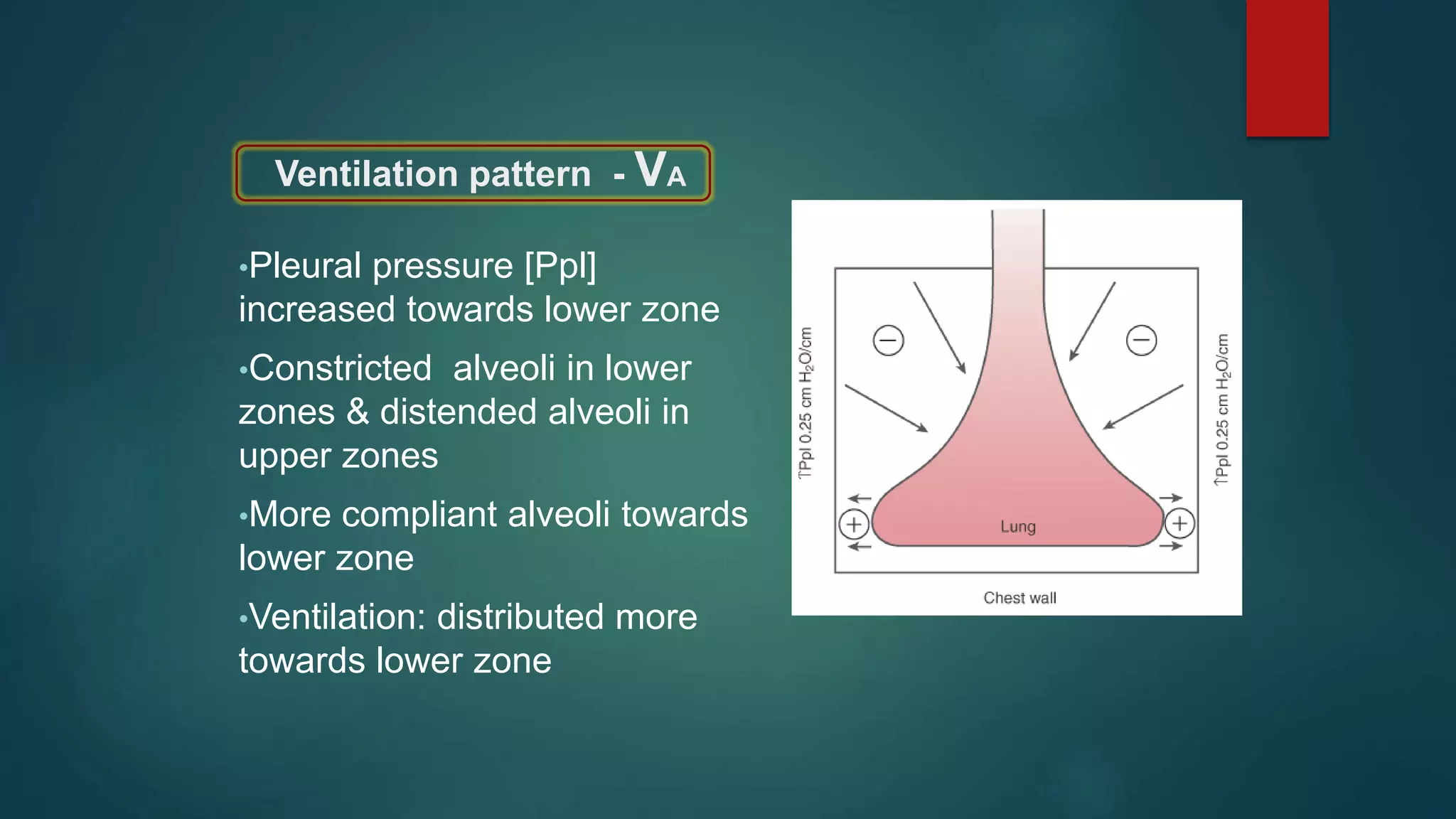 Ventilation and perfusion | PPTX