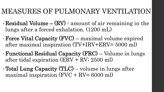 VENTILATION AND PERFUSION FOR NURSING ANATOMY | PPTX | Lung and ...