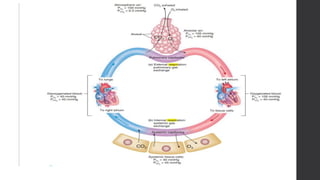 VENTILATION AND PERFUSION FOR NURSING ANATOMY | PPTX