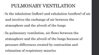 VENTILATION AND PERFUSION FOR NURSING ANATOMY | PPTX