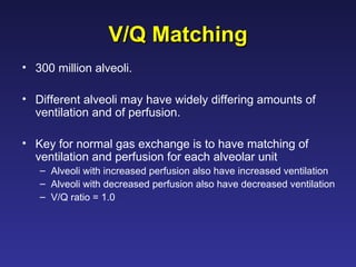 Ventilation Perfusion Matching | PPT