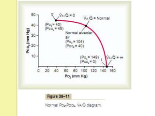Ventilation perfusion ratio (The guyton and hall physiology) | PPTX