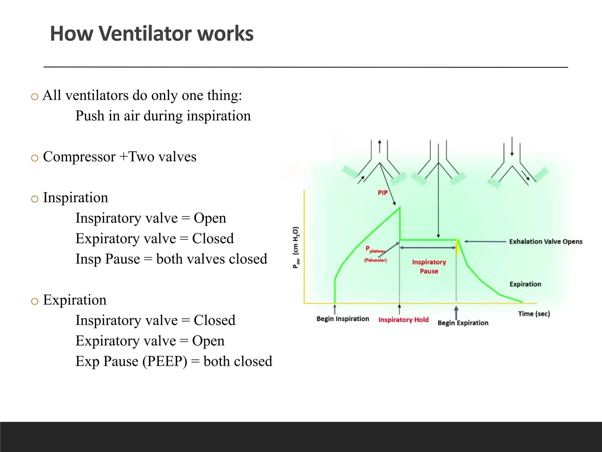RESPIRATORYU PHYSIOLOGY RELATED TO MECHANICAL VENTILATION | PDF